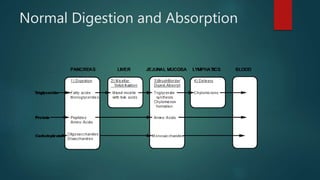 Approach to a patient with malabsorption | PPTX