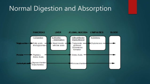 Approach to a patient with malabsorption | PPT