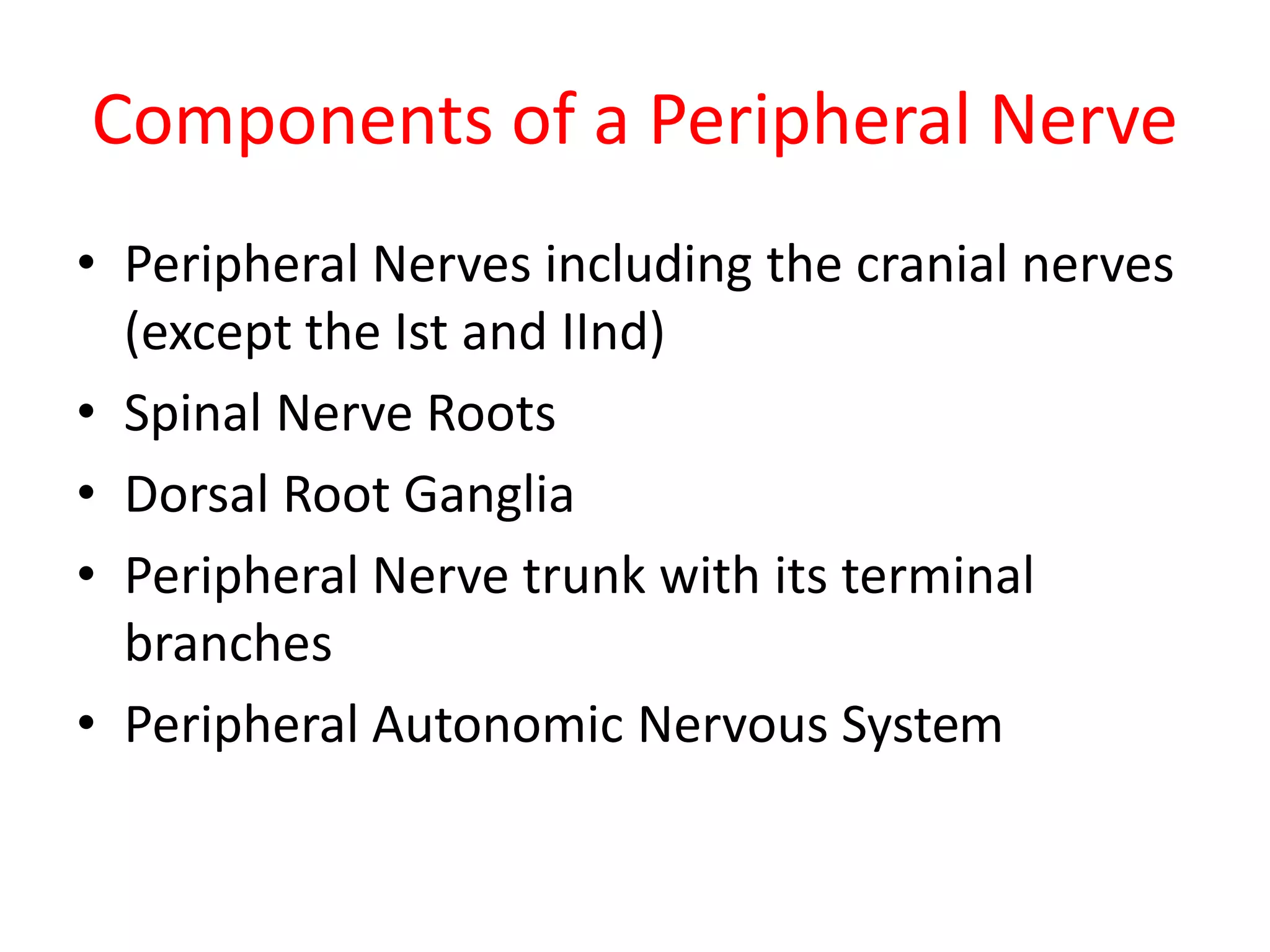 Approach to a patient with peripheral neuropathy | PPT