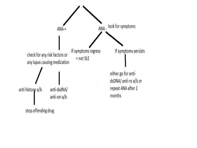 Approach to a patient with positive ana levels (2) | PPTX