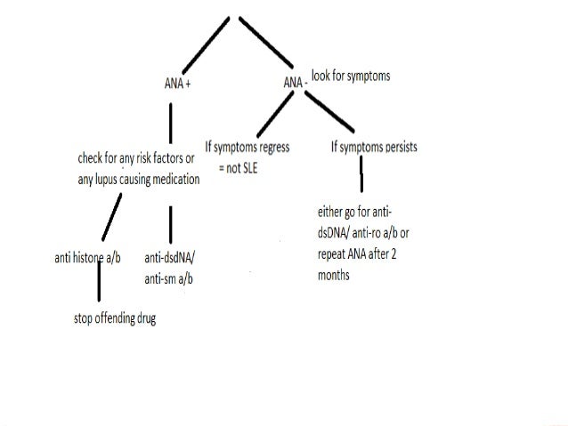 Approach to a patient with positive ana levels (2)
