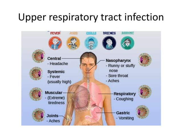 Approach to a patient with respiratory infection | PPTX | Infectious ...