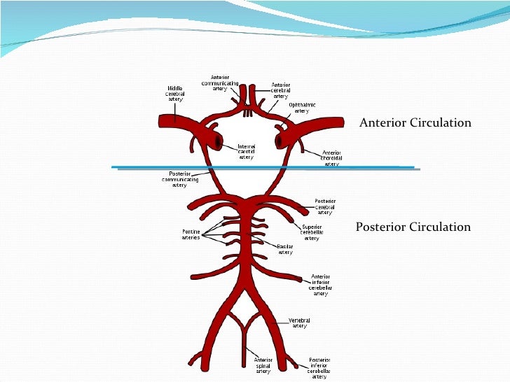 Approach to a patient with stroke