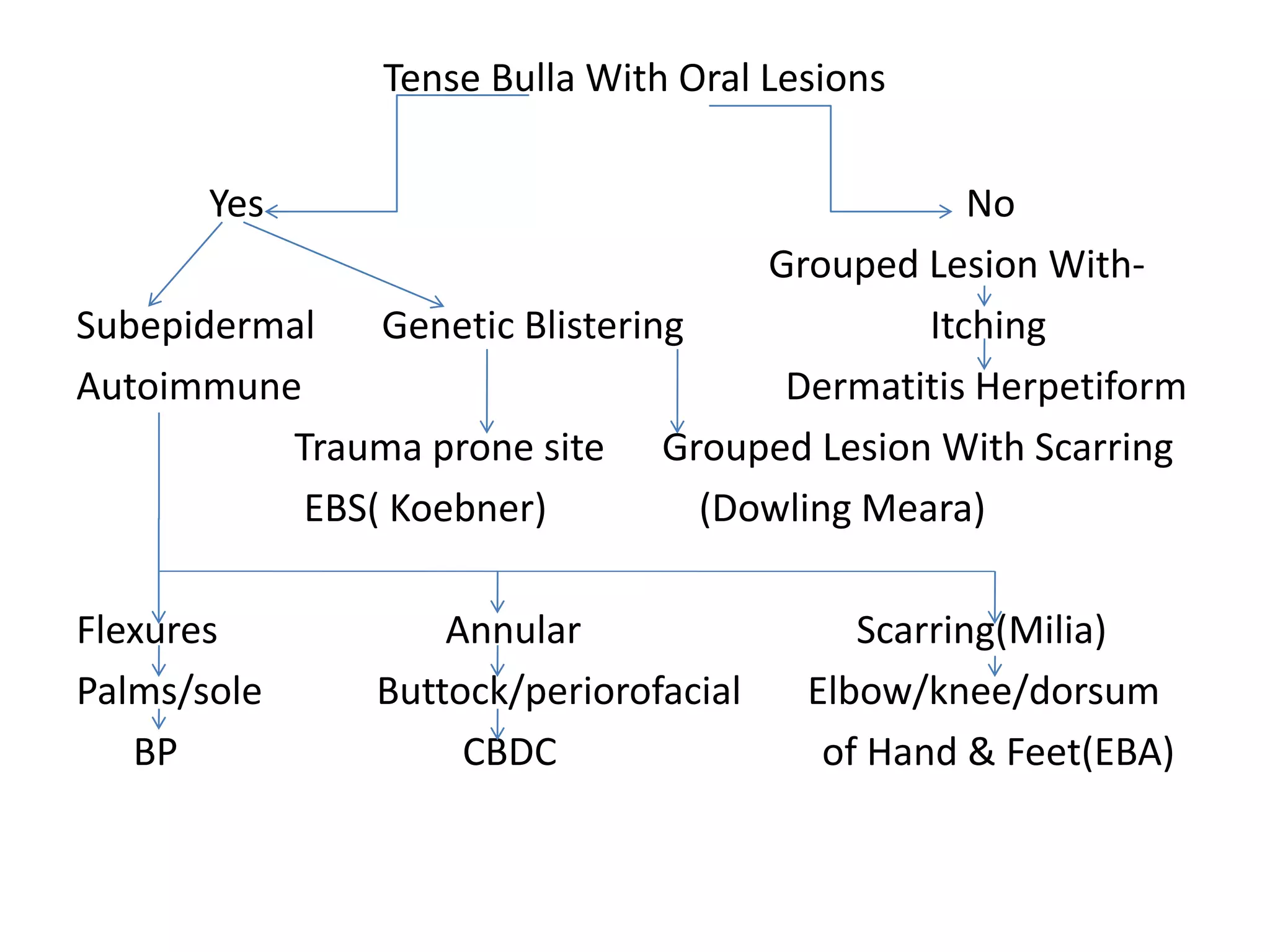 Approach to a patient with vesicobullous lesions | PPTX