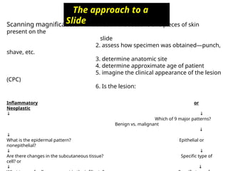 Approach to a slide with skin disease.pptx