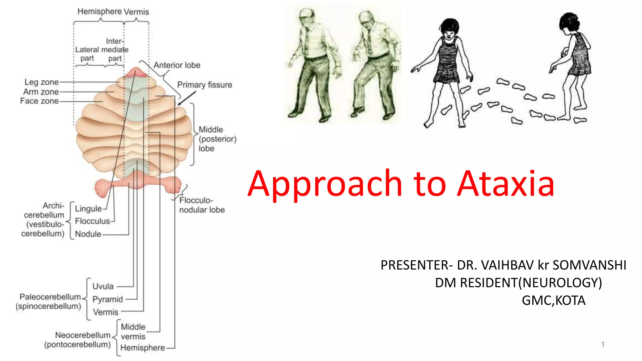 Approach to Ataxia | PPTX
