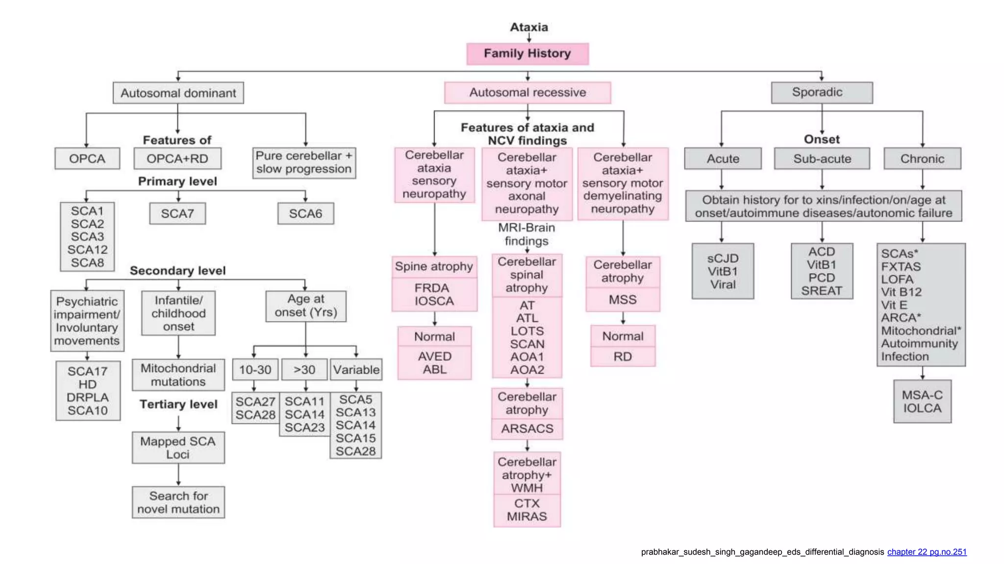 Approach to Ataxia | PPTX