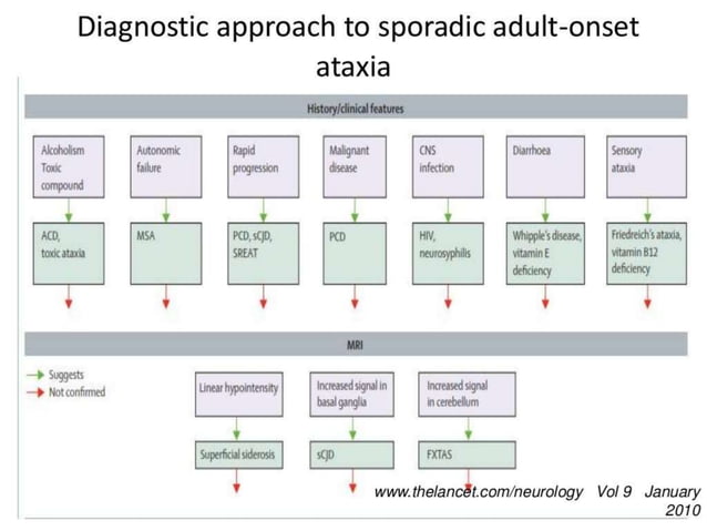 Approach to ataxia | PPTX