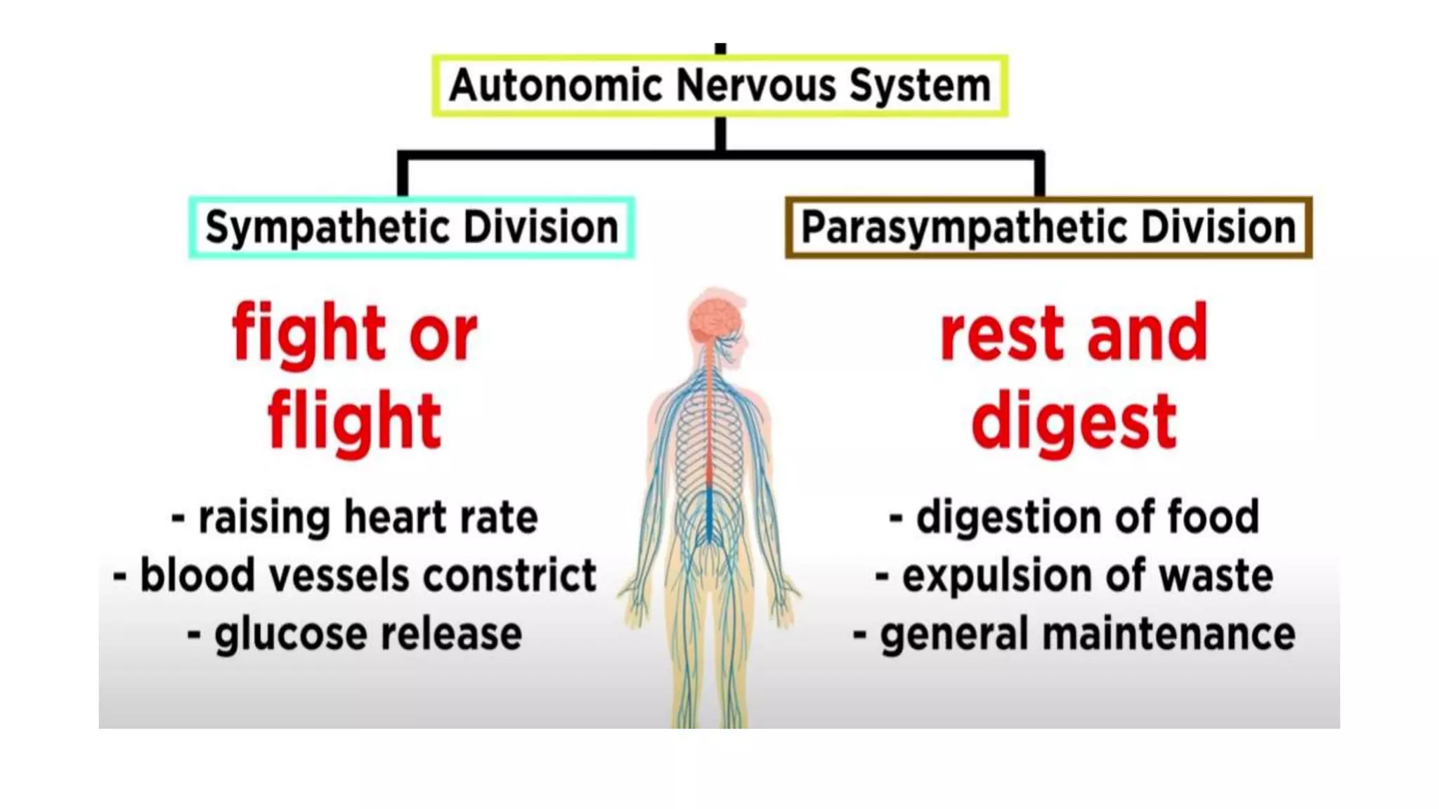 Approach to Autonomic Nervous system Disorder 09-09-2022.pptx