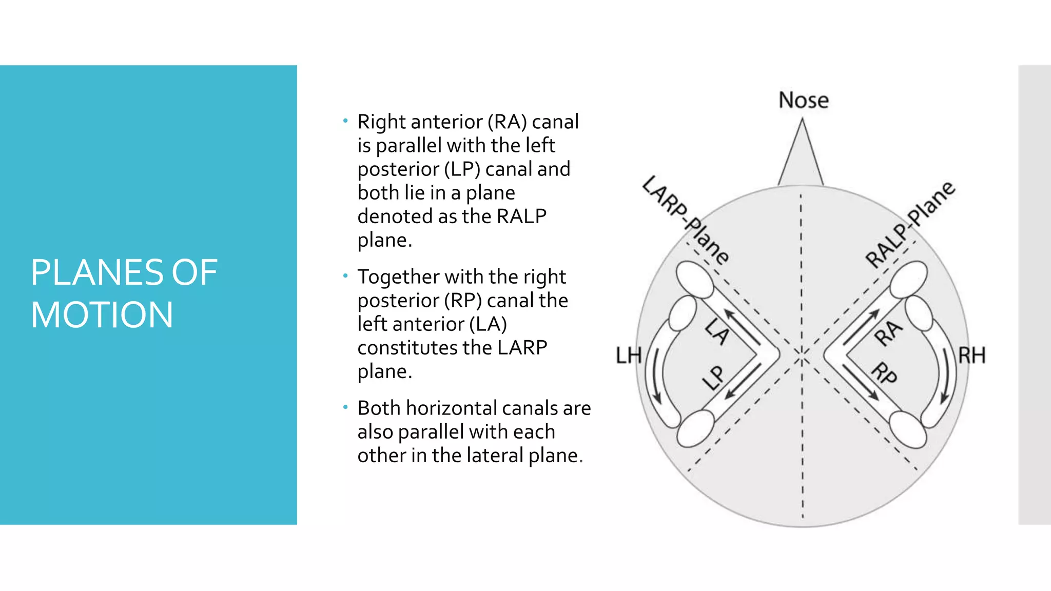 Approach to a vertiginous patient.pptx