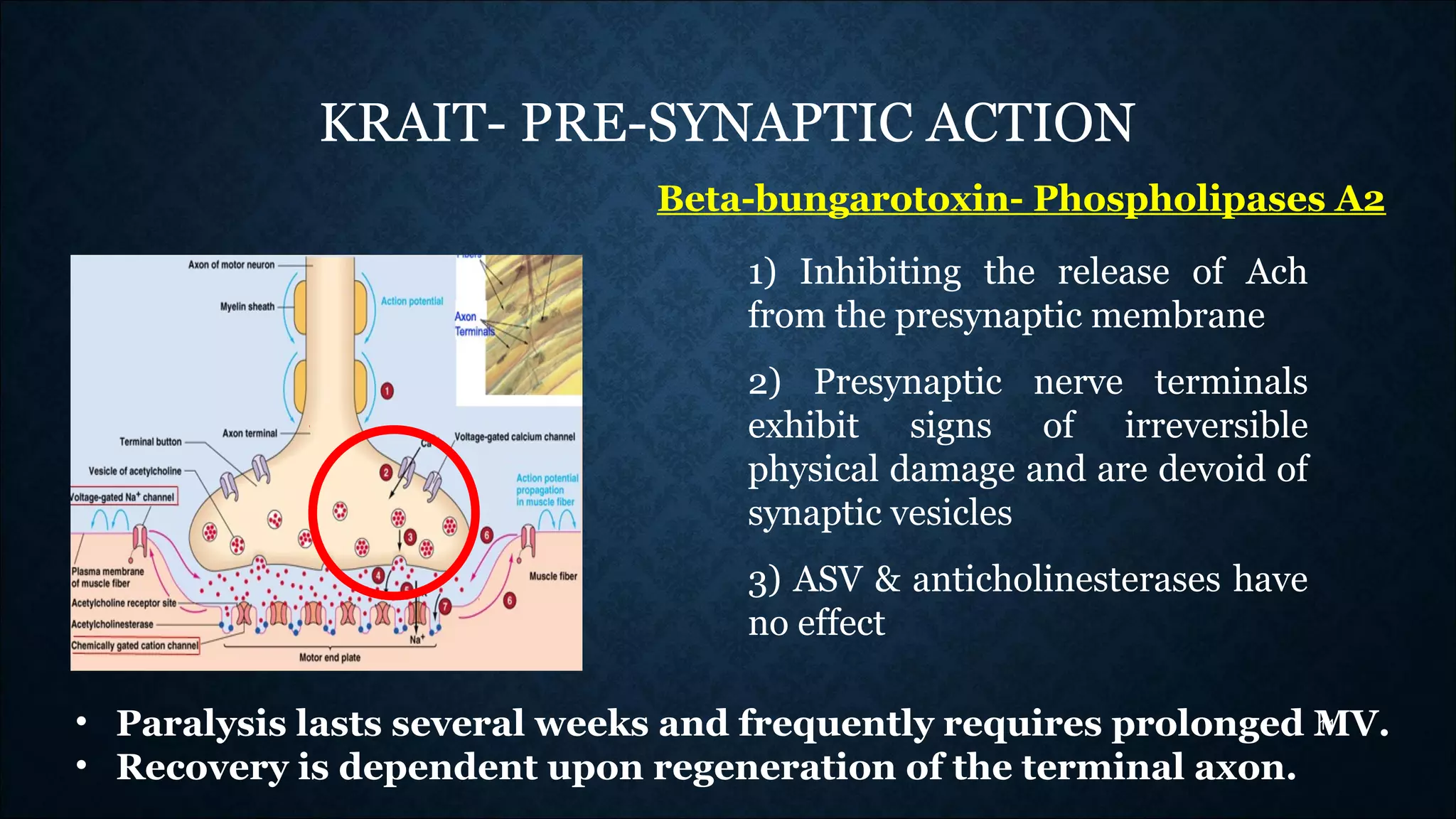 Approach to a victim of snake bite | PPT