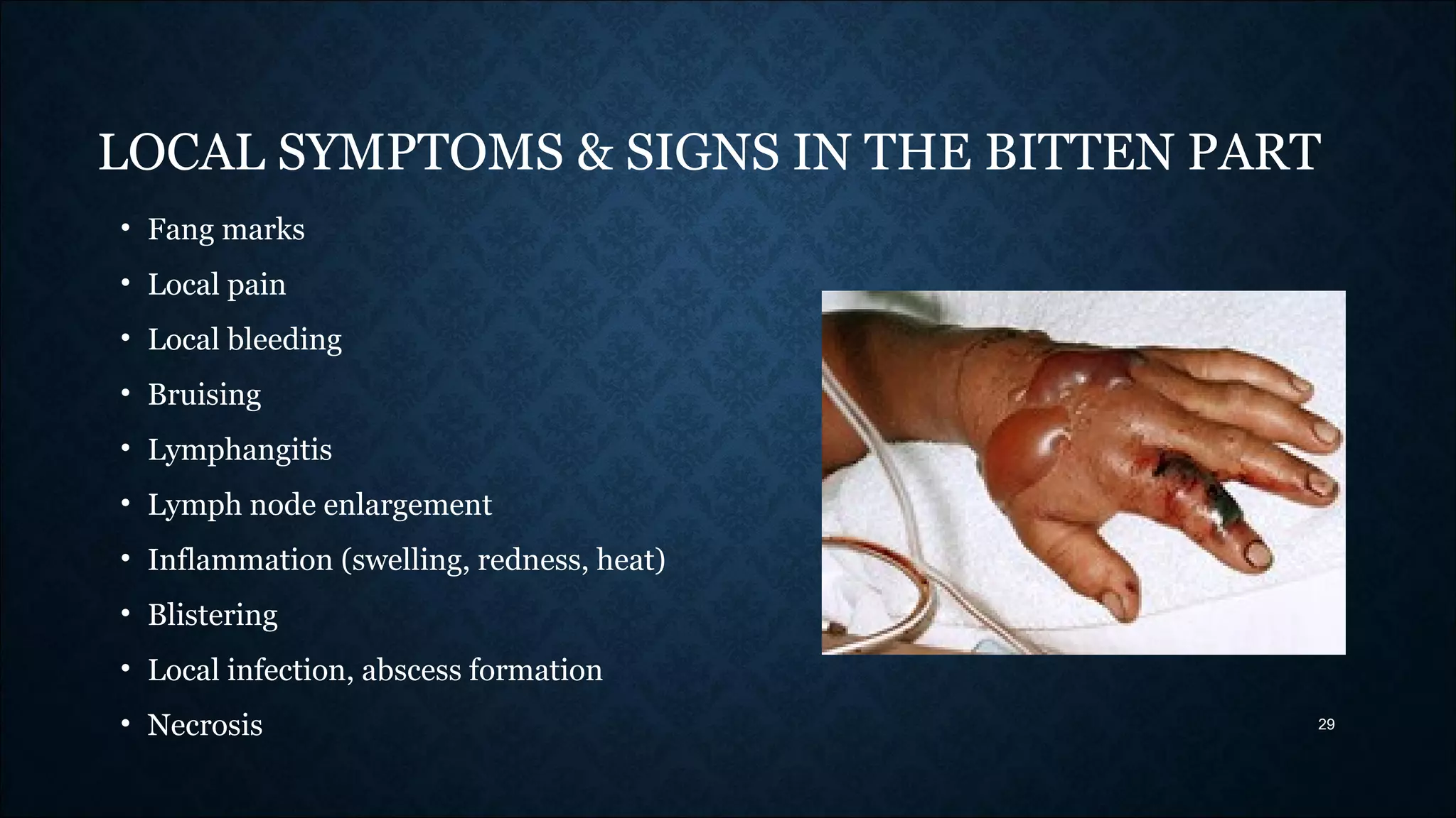 Approach to a victim of snake bite | PPT