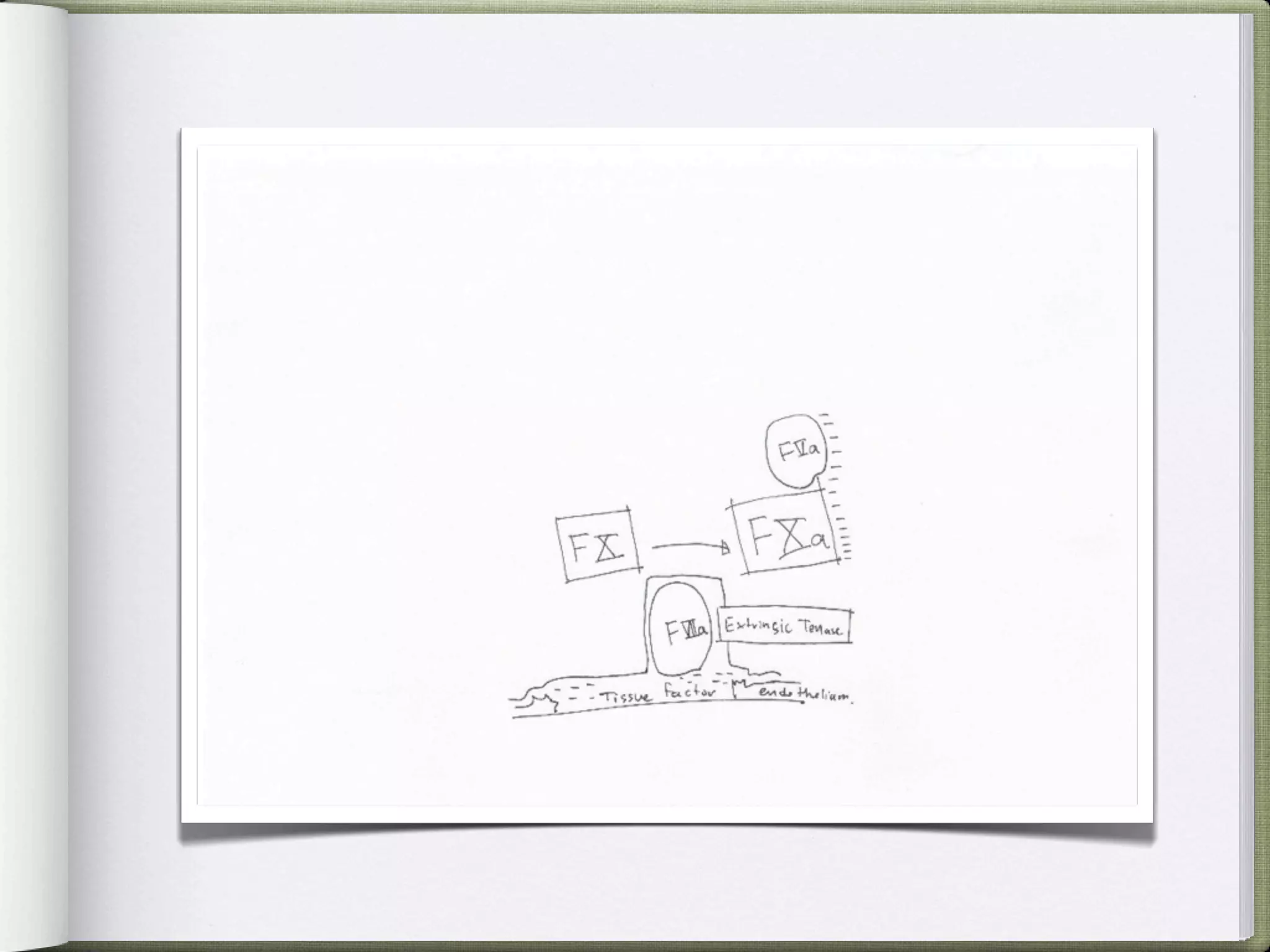 Approach to bleeding | PPT