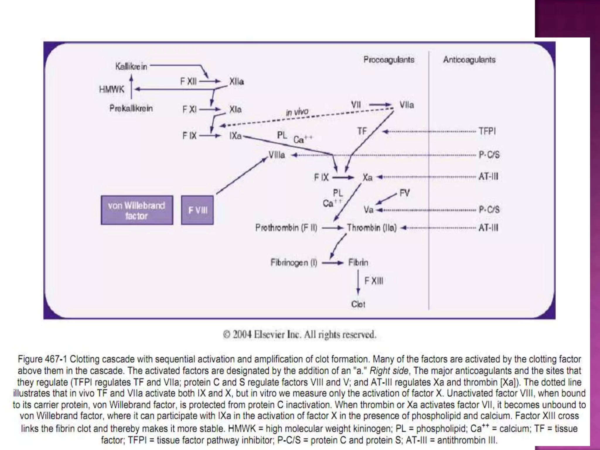 Approach to bleeding disorder (coagulation defects) in children | PPTX