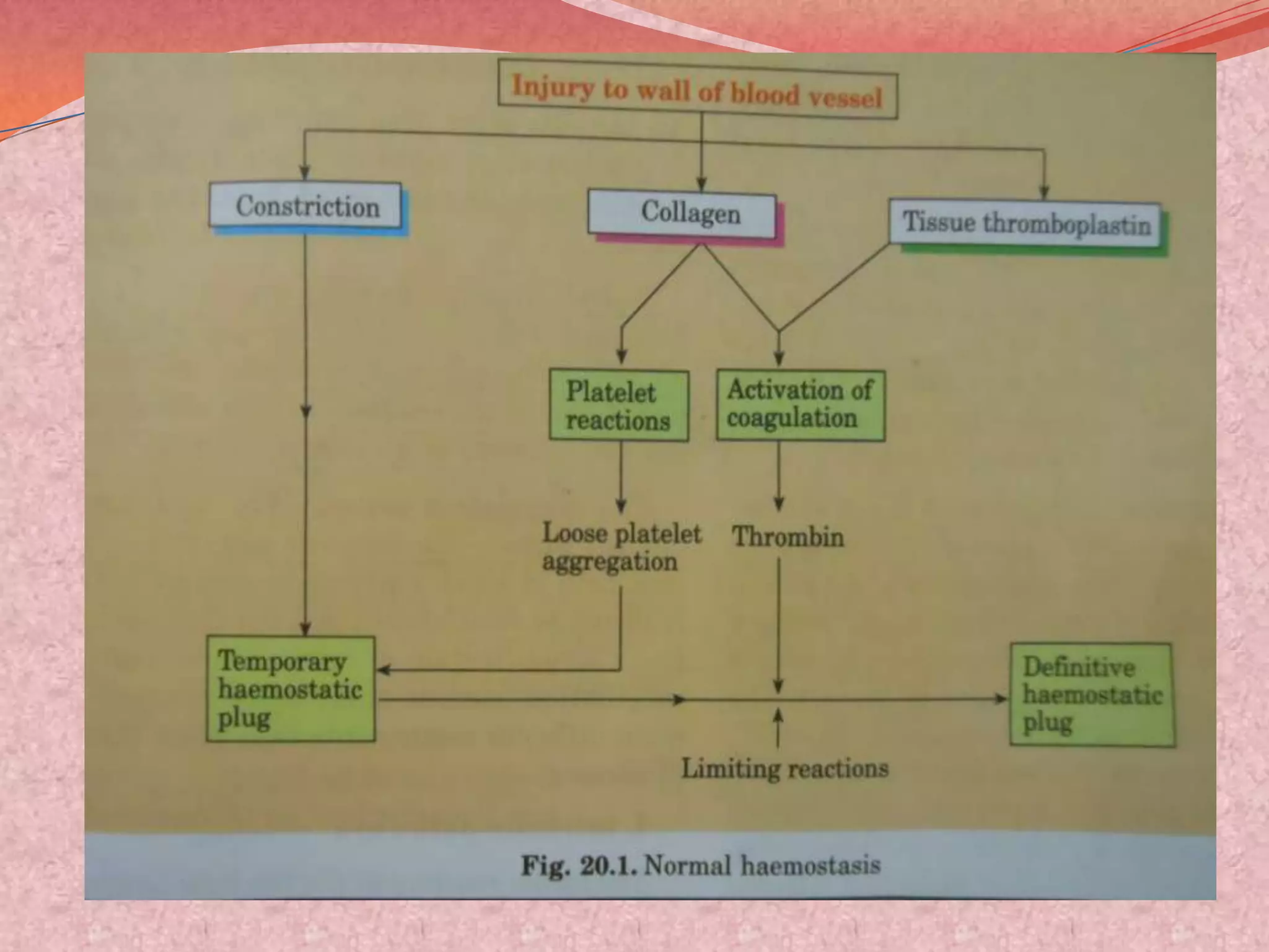 Approach to diagnosis of bleeding disorders | PPTX