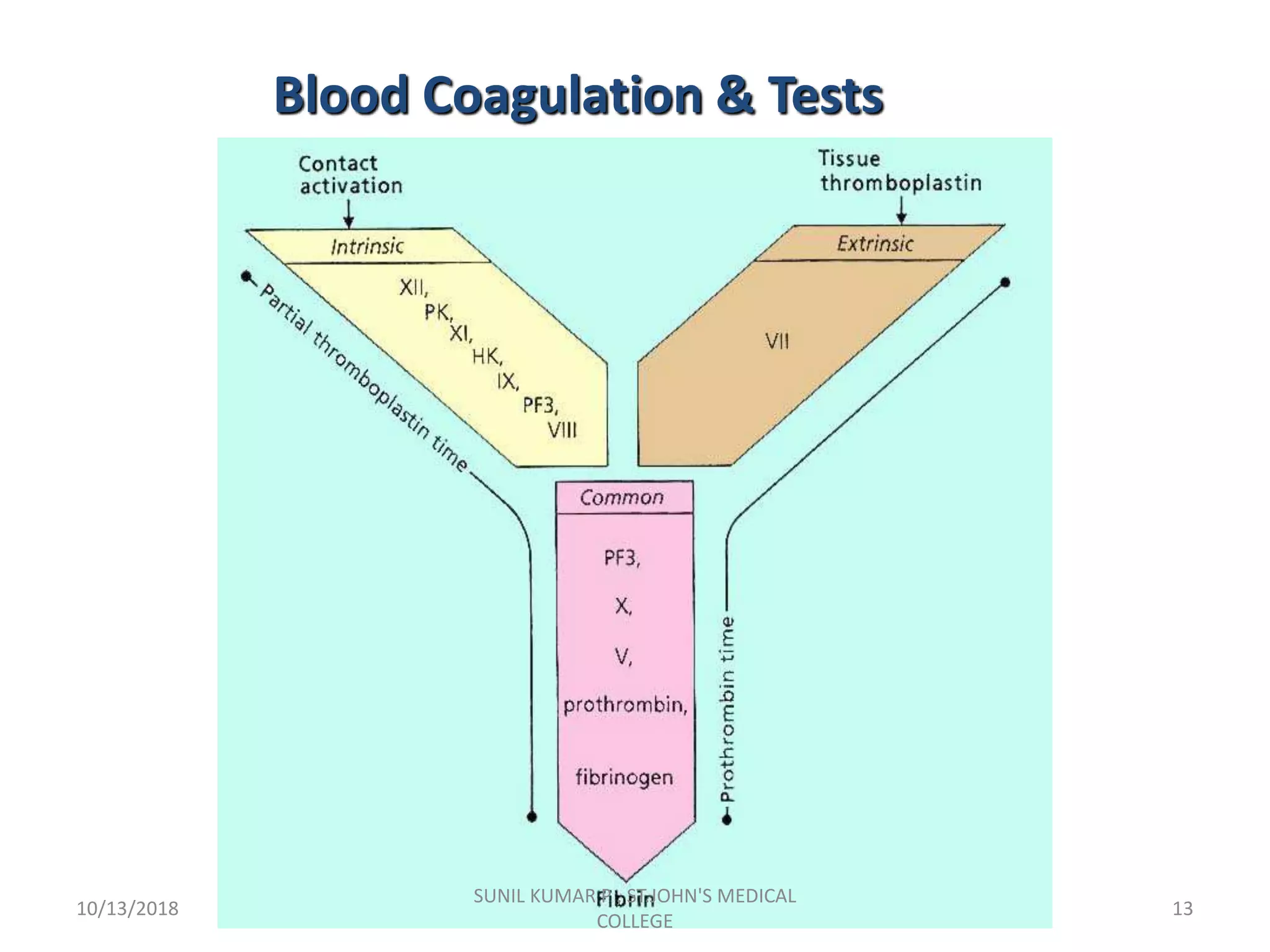 Approach to bleeding disorders | PPTX