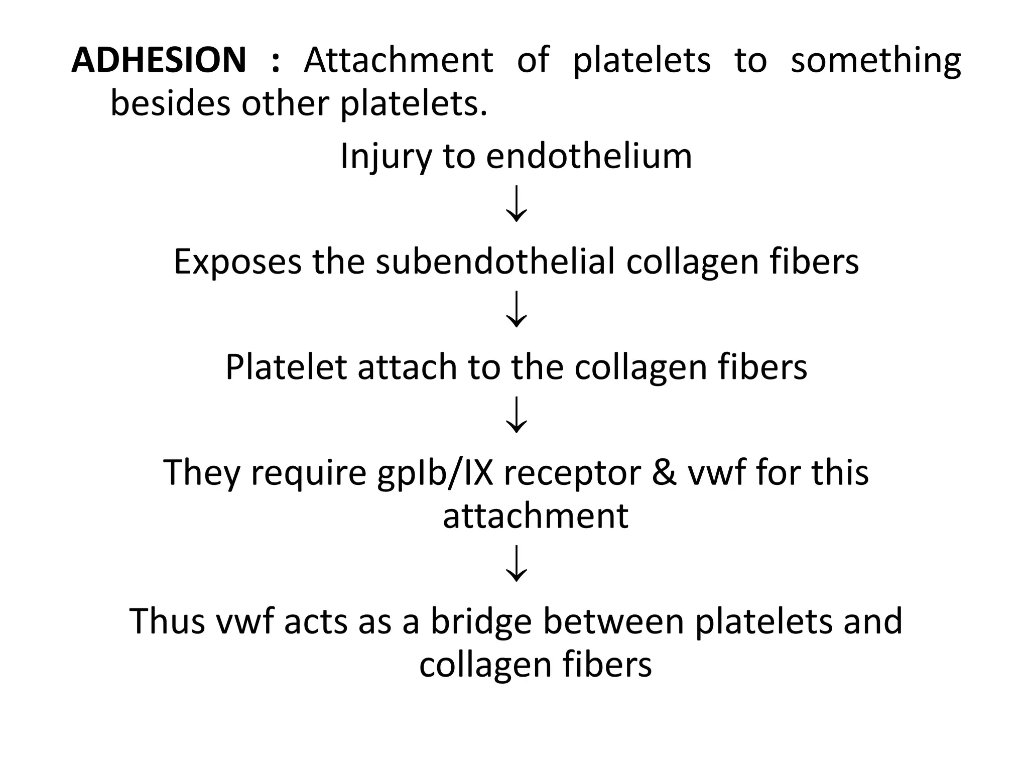 Approach to bleeding disorders | PPTX