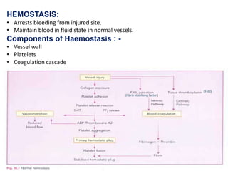Approach to bleeding disorders | PPTX