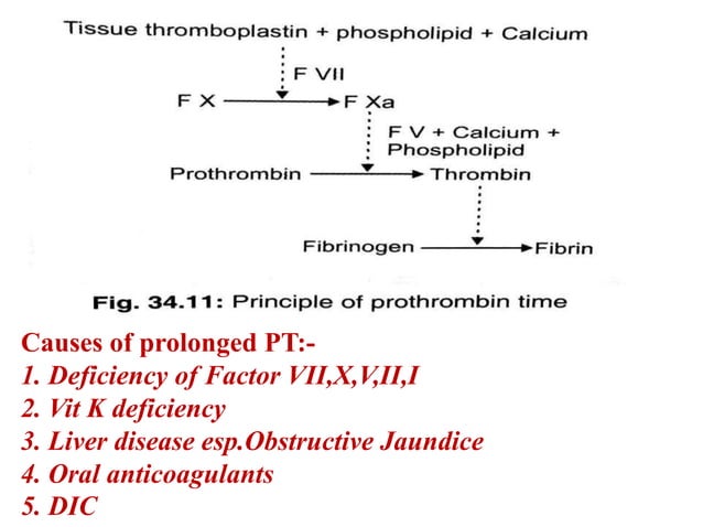 Approach to bleeding disorders | PPTX