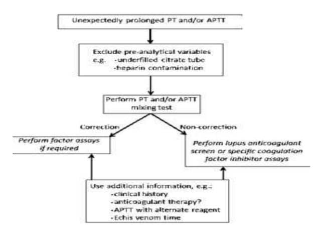 Approach to bleeding disorders | PPTX