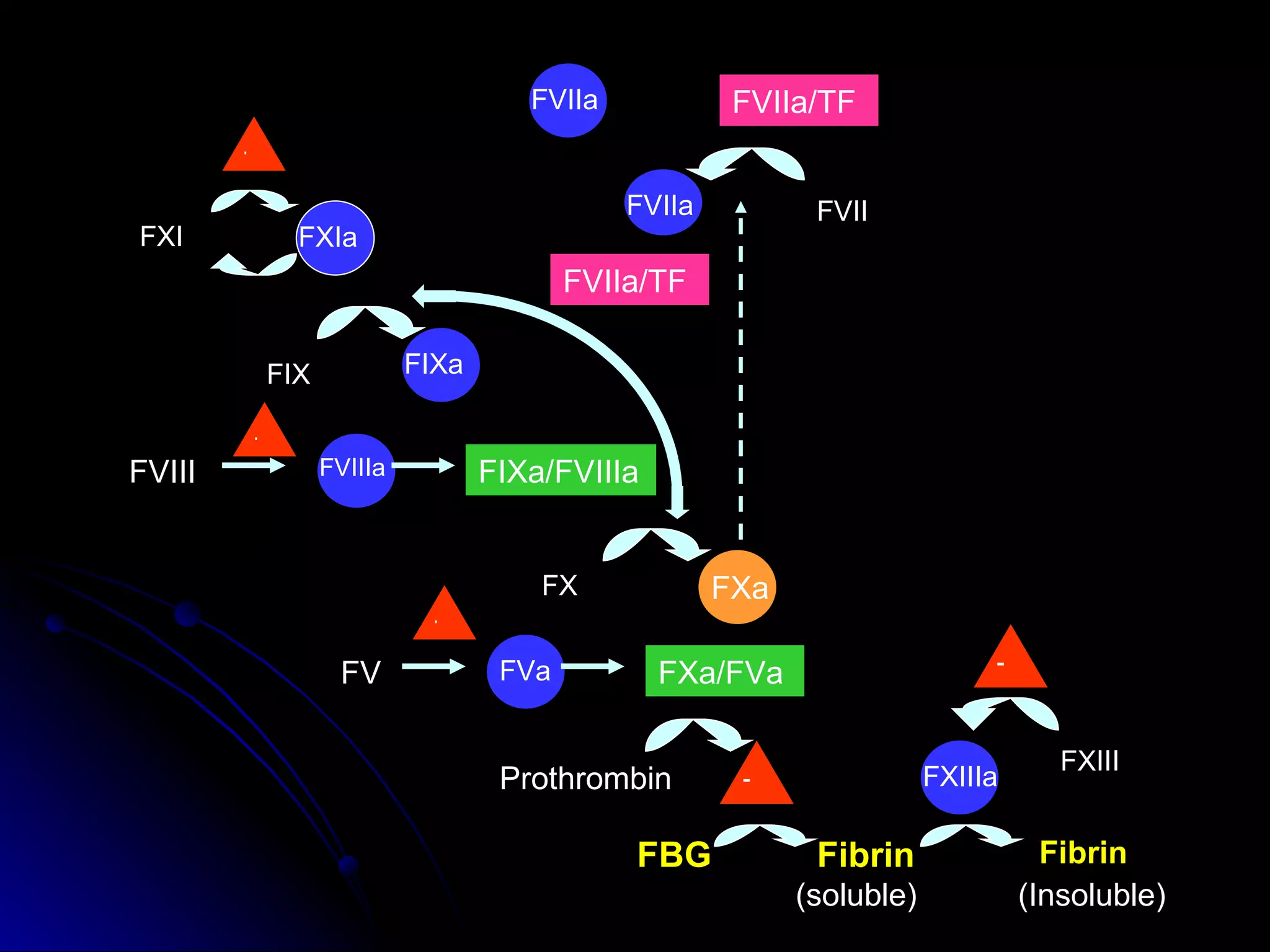 Approach to bleeding disorders and acute anemia | PPT