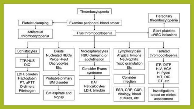 Approach to bleeding disorders part II | PPTX | Blood Disorders ...