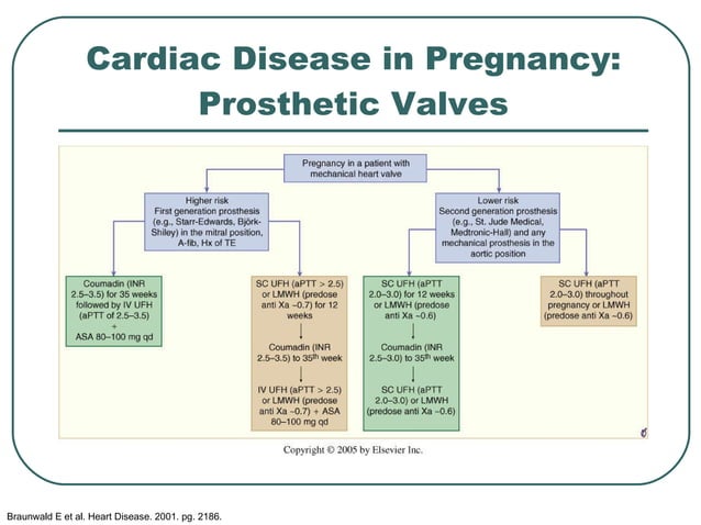 Approach to cardiac diseases in pregnancy | PPT | Pregnancy ...