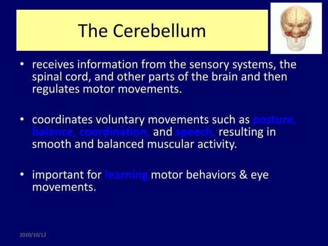 Approach to cerebellar ataxia | PPT | Brain and Nervous System Disorders | Diseases and Conditions