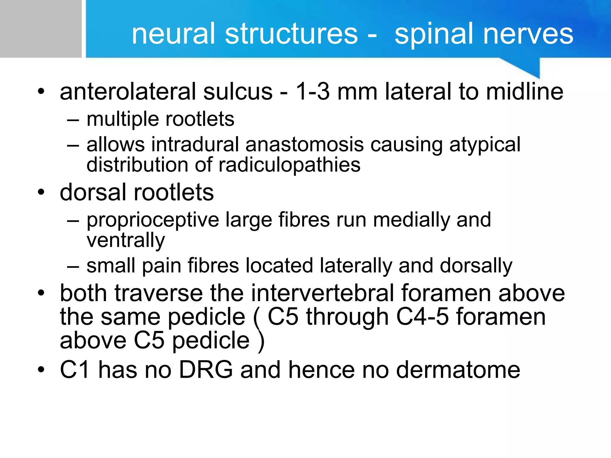 Approach to cervical spine | PPTX
