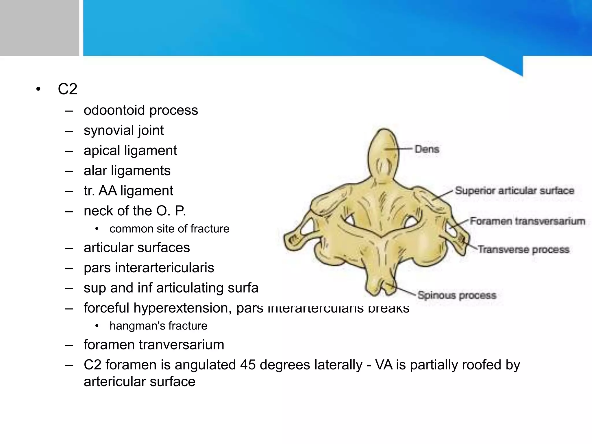 Approach to cervical spine | PPTX