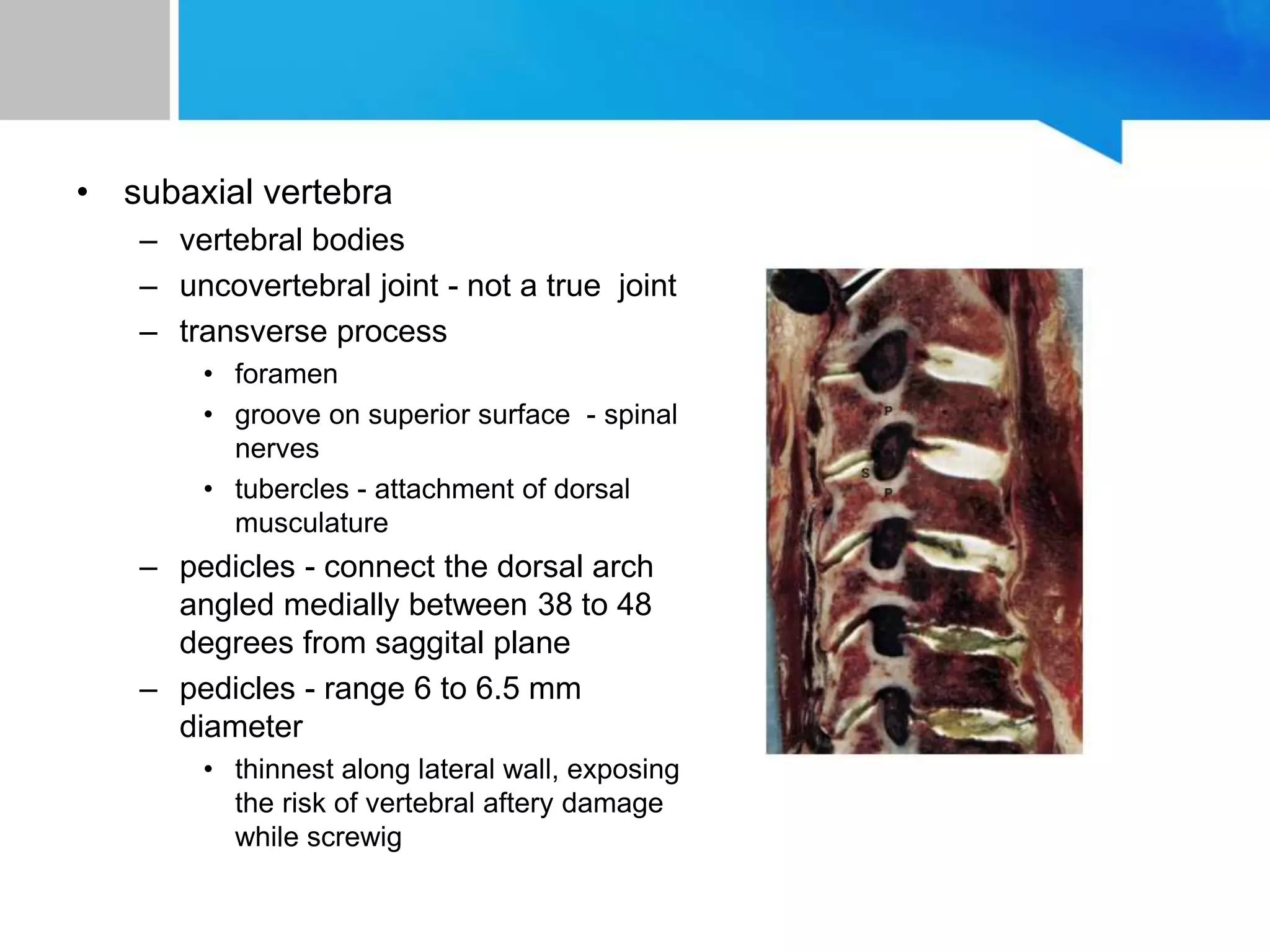 Approach to cervical spine | PPTX