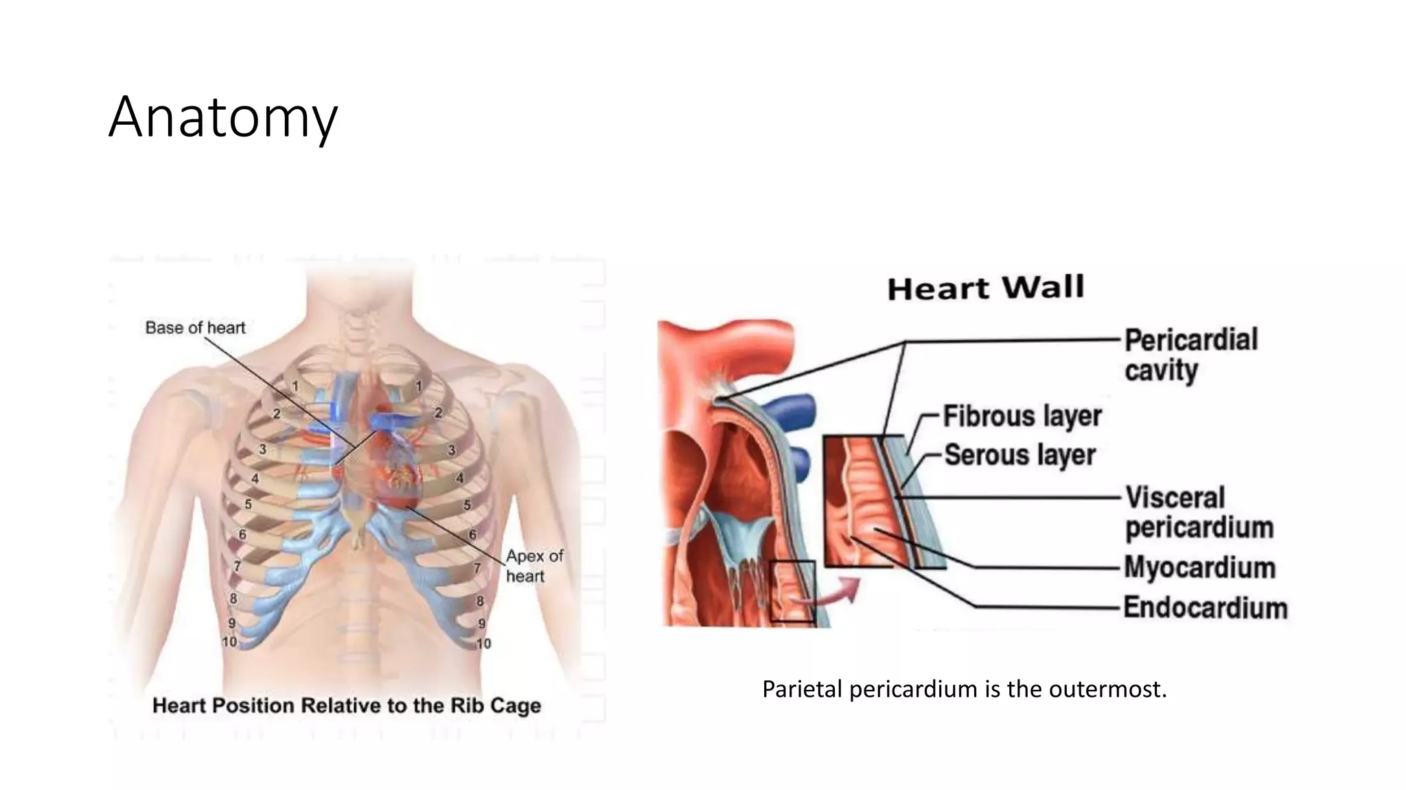 Approach to chest pain | PPTX