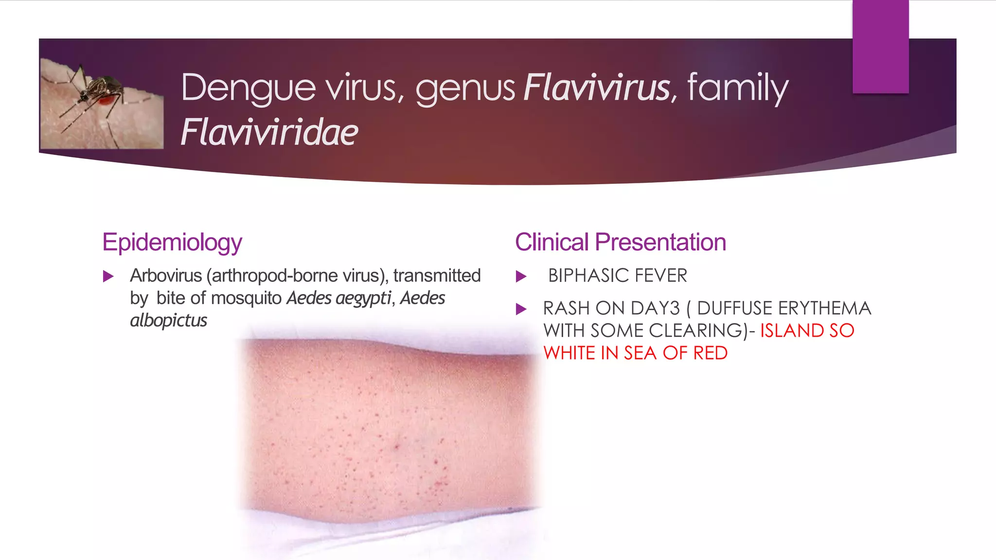 Approach to child – fever with rash | PDF
