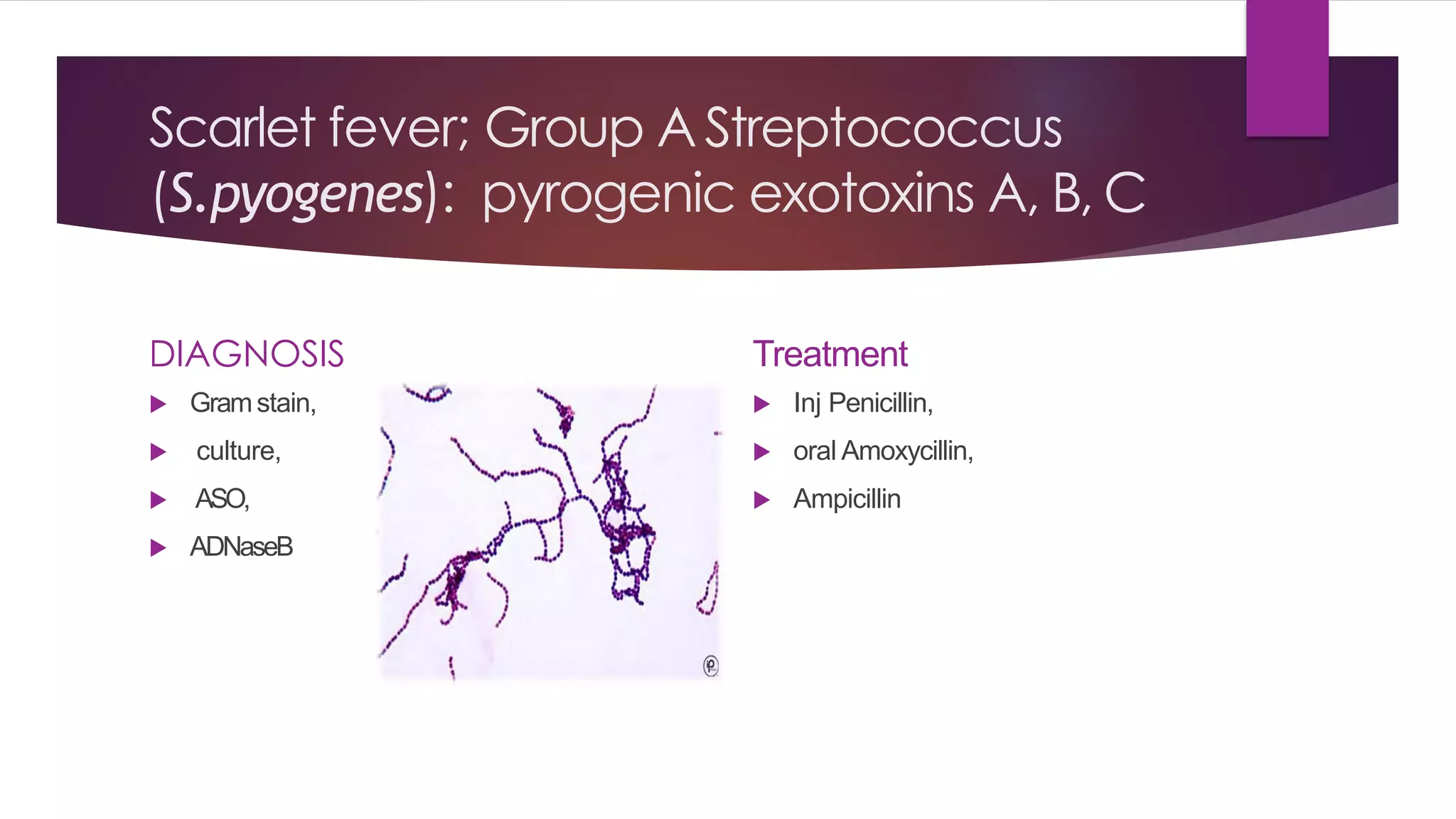 Approach to child – fever with rash | PDF