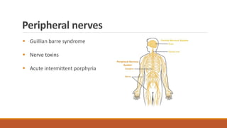 APPROACH TO CHILD WITH LOWER LIMB WEAKNESS.pptx