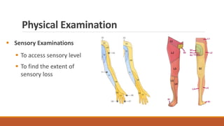 APPROACH TO CHILD WITH LOWER LIMB WEAKNESS.pptx