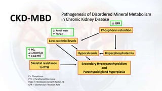 Approach to Chronic Kidney Diseases | PPTX