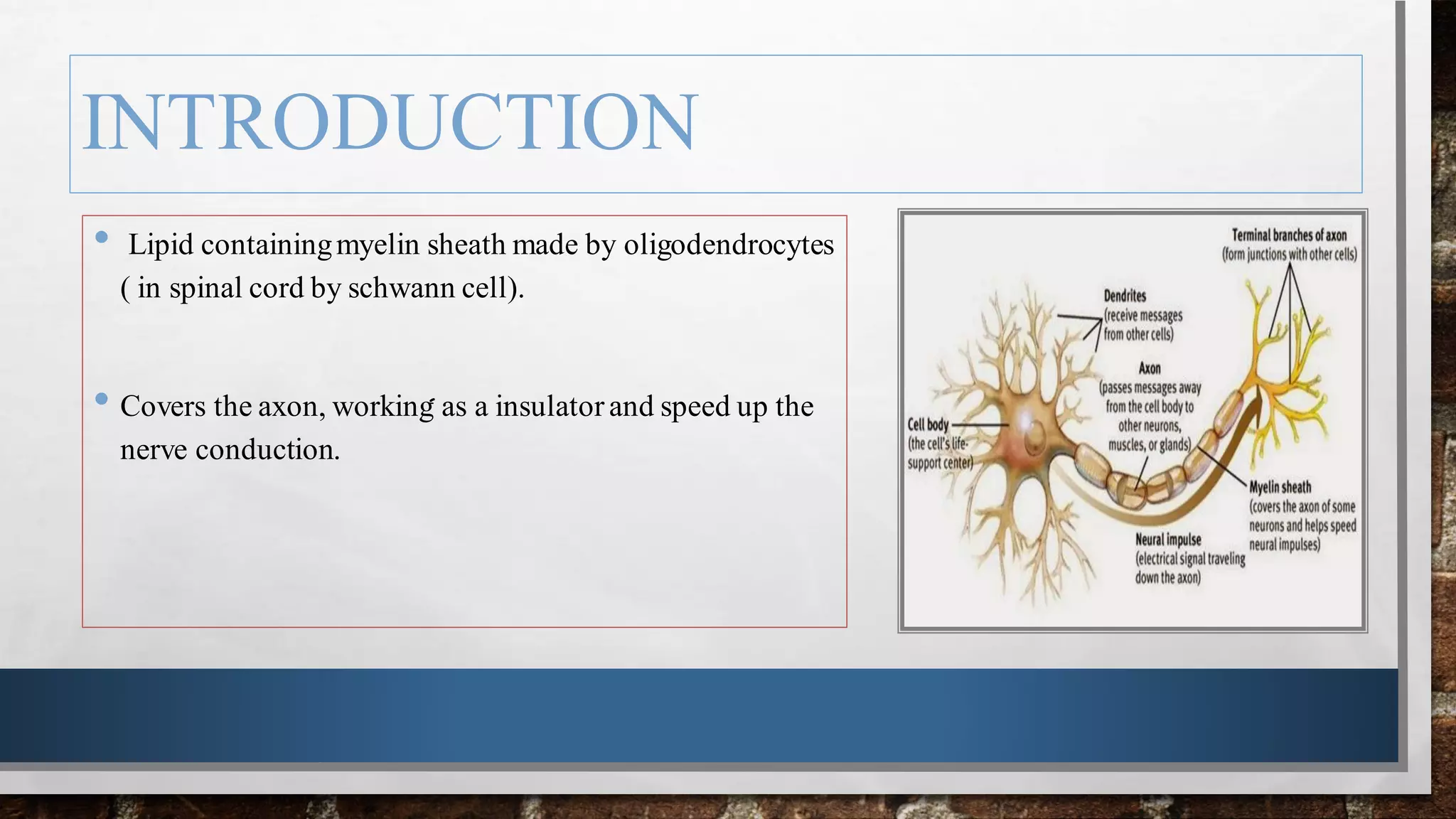 'Approach to cns demyelinating disorders | PDF