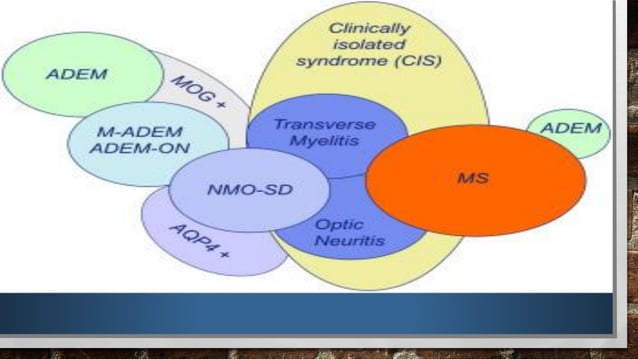 'Approach to cns demyelinating disorders | PDF | Physical Therapy | Wellness