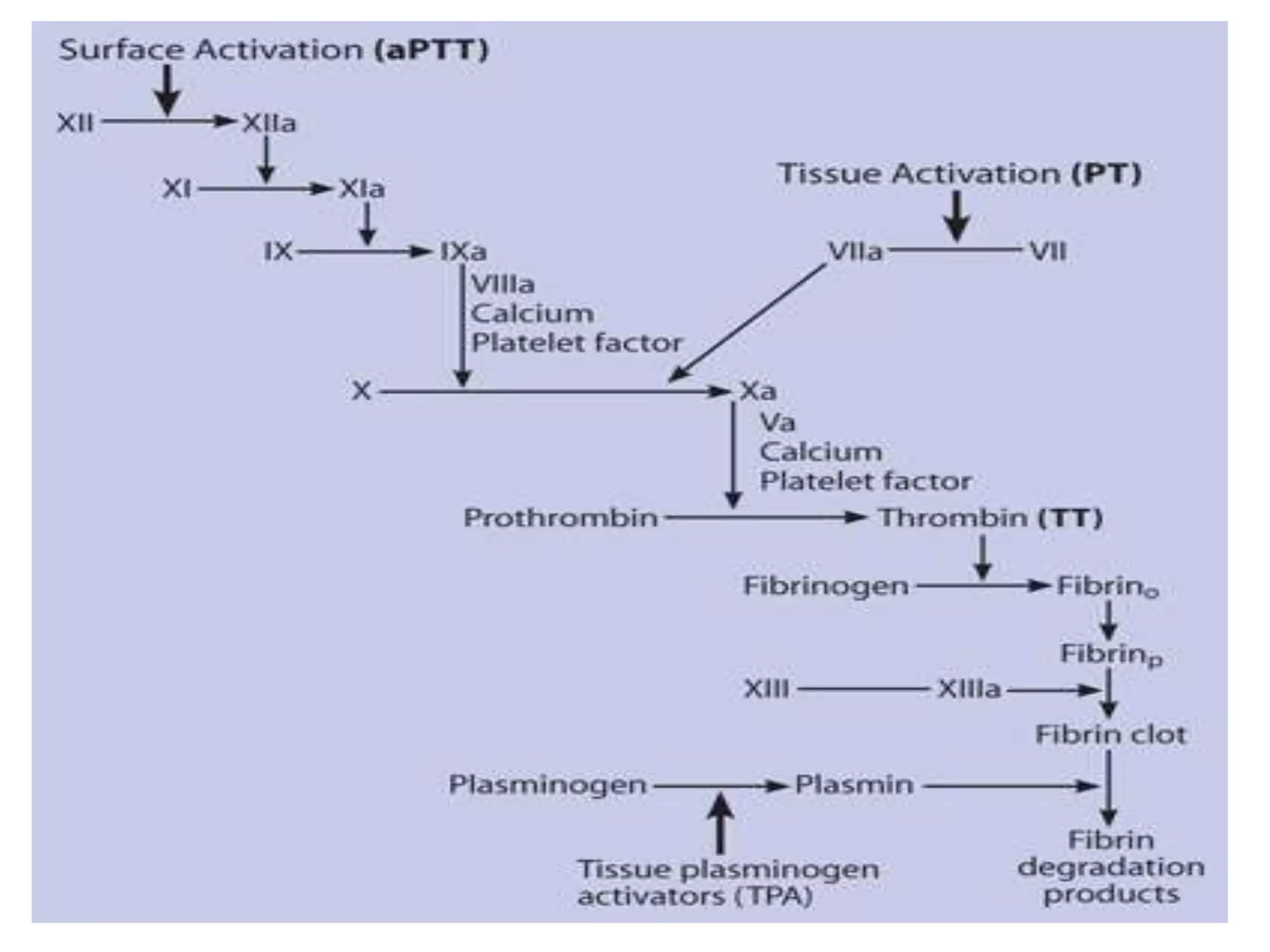 Laboratory Approach to coagulation disorders & Mixing studies | PPTX