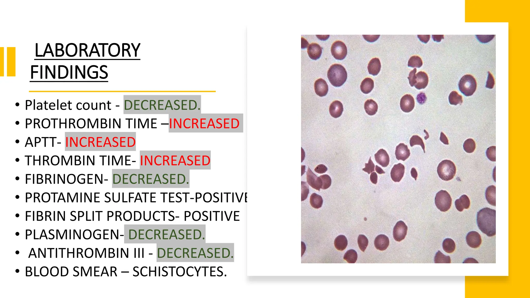 Approach to coagulation disorders ppt.pptx