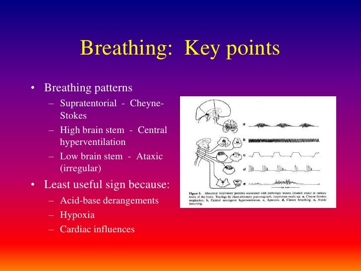 Ataxic Breathing