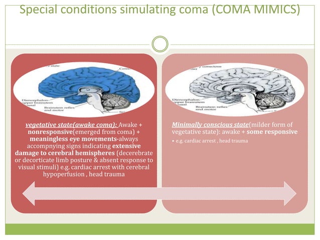 Approach to coma | PPTX | Brain and Nervous System Disorders | Diseases ...