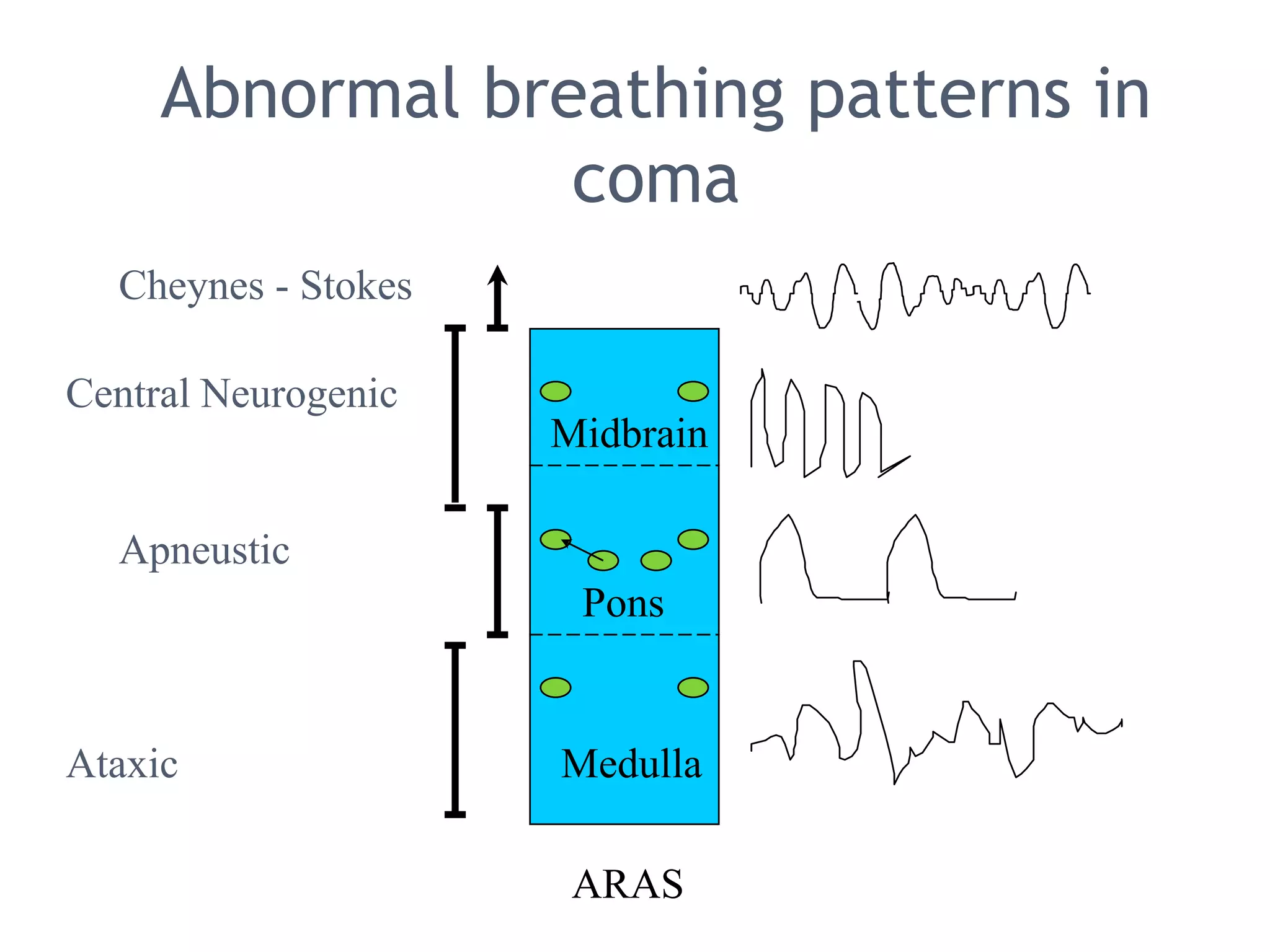 Approach to the Comatose patient | PPTX