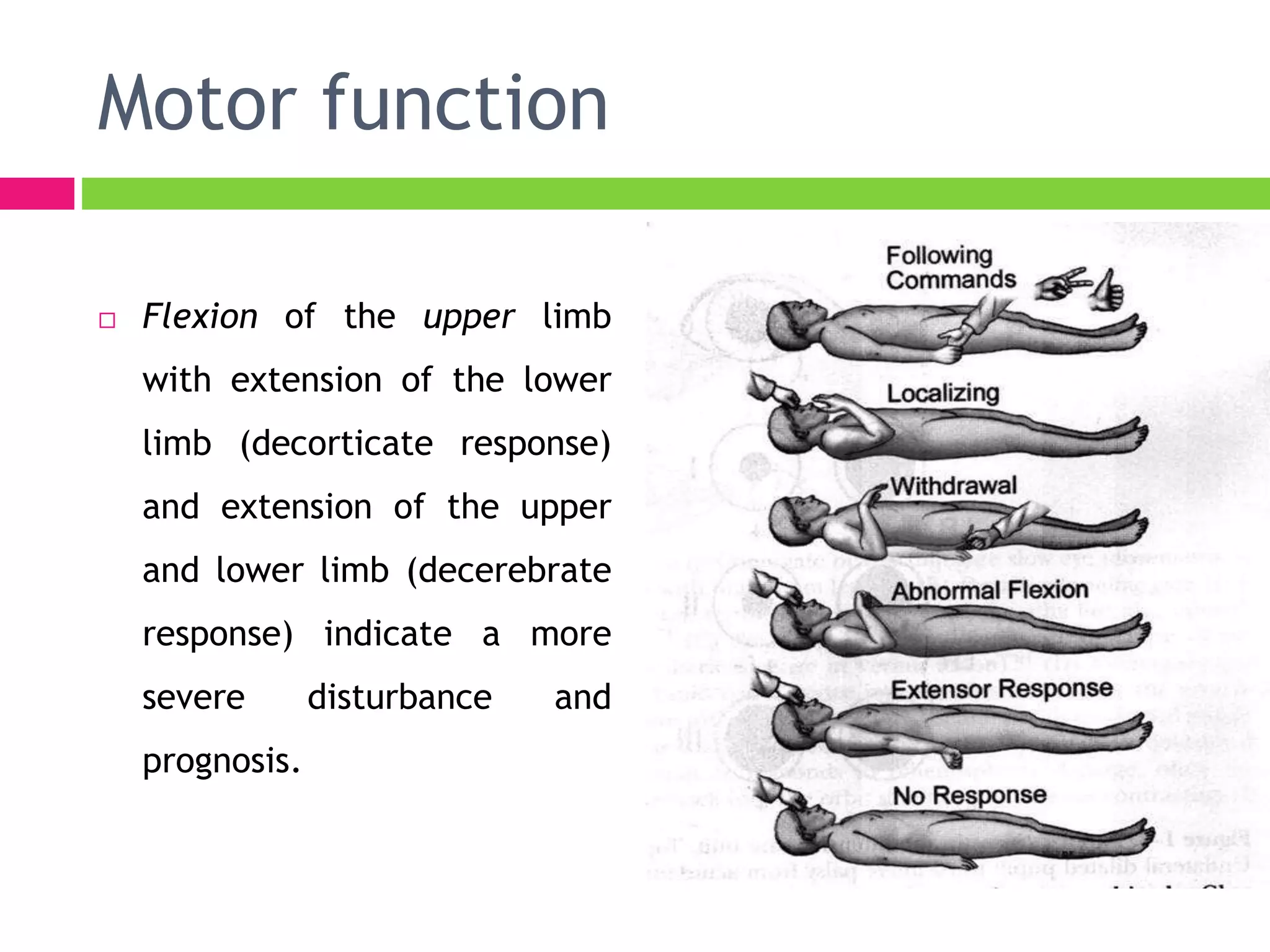 Approach to the Comatose patient | PPTX