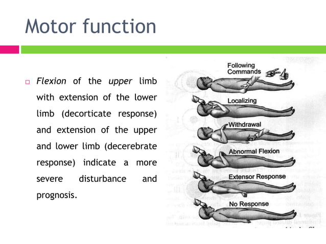Approach to the Comatose patient