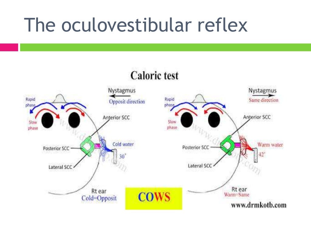 Approach to the Comatose patient