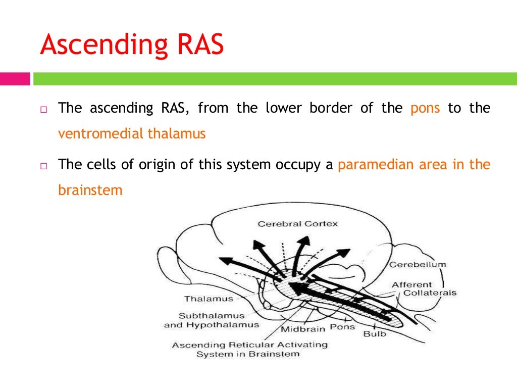 Approach to the Comatose patient