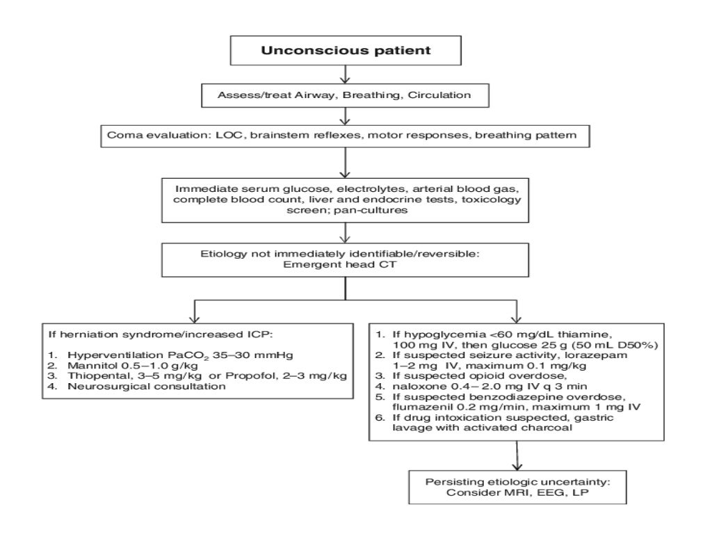 Approach to the Comatose patient