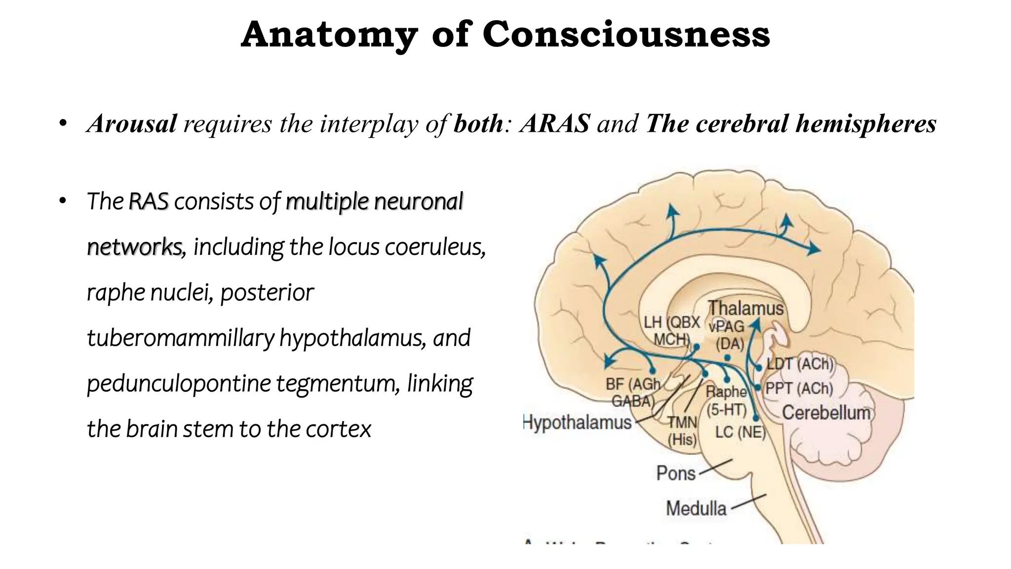Approach to Coma.pptx